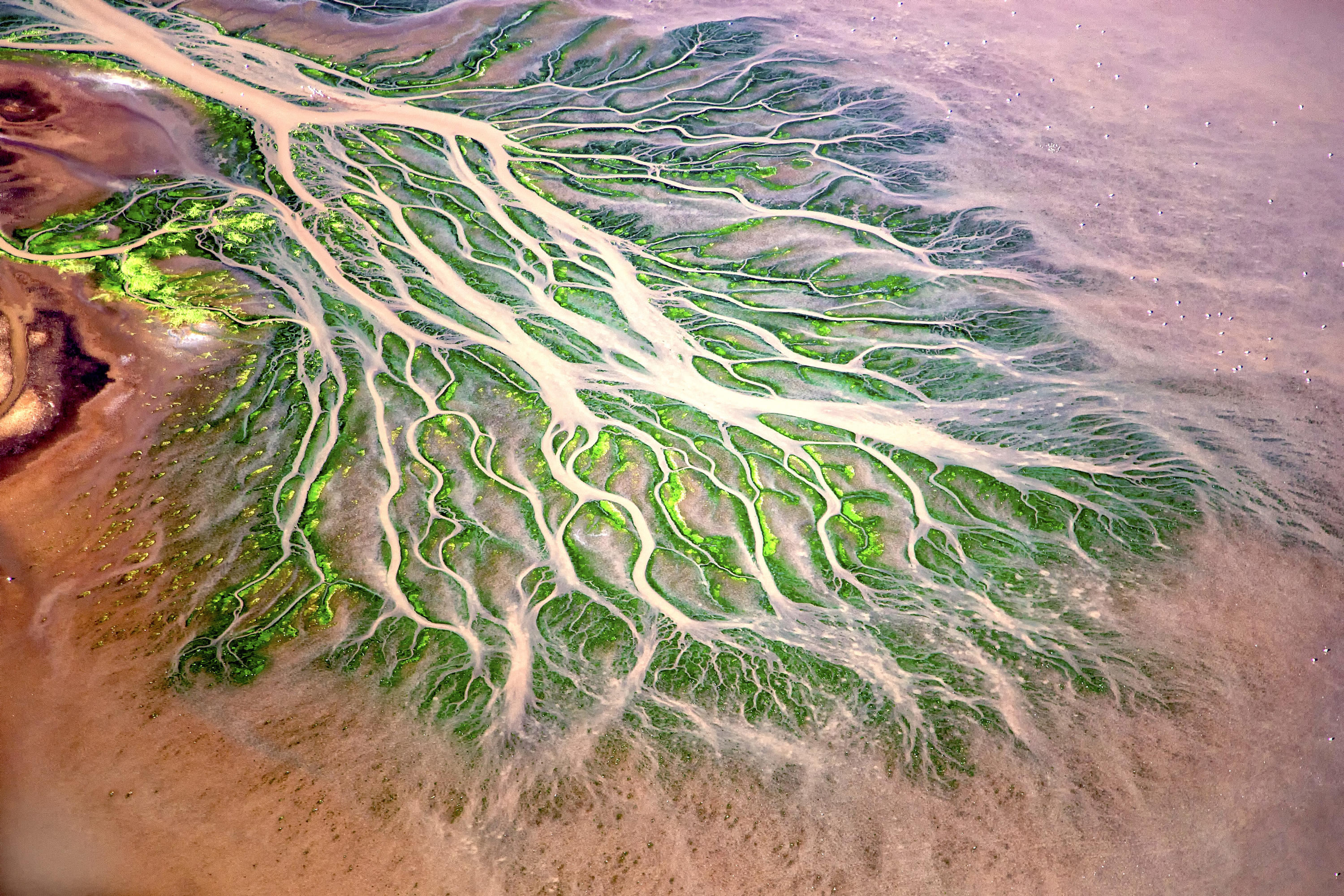 FACTS Report on Health and the environment | Veolia Institute